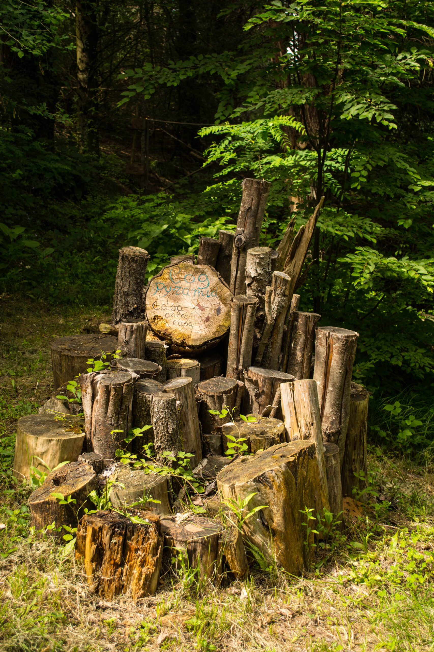 LOG PYRAMID - Nova arbora