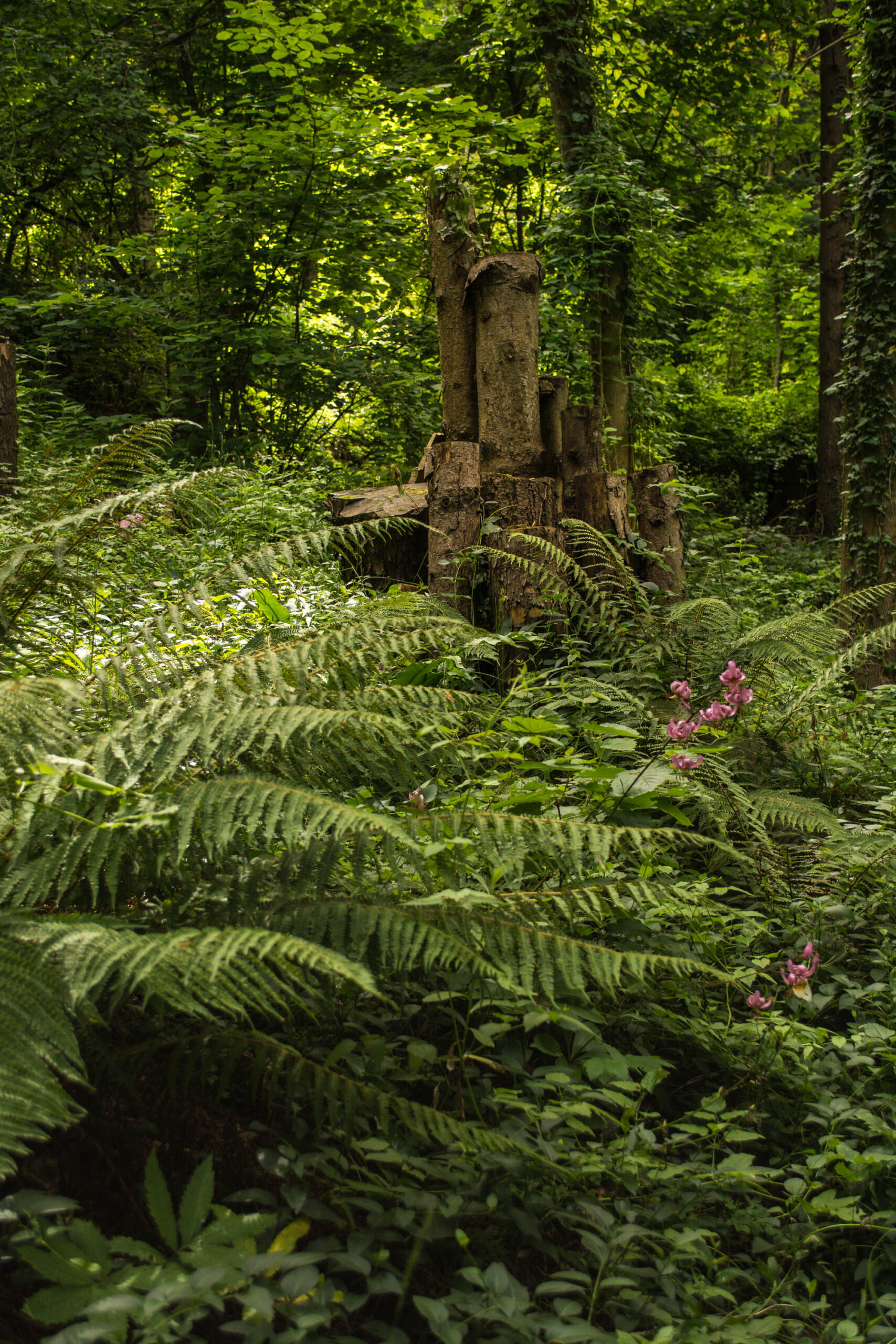 LOG PYRAMID - Nova arbora