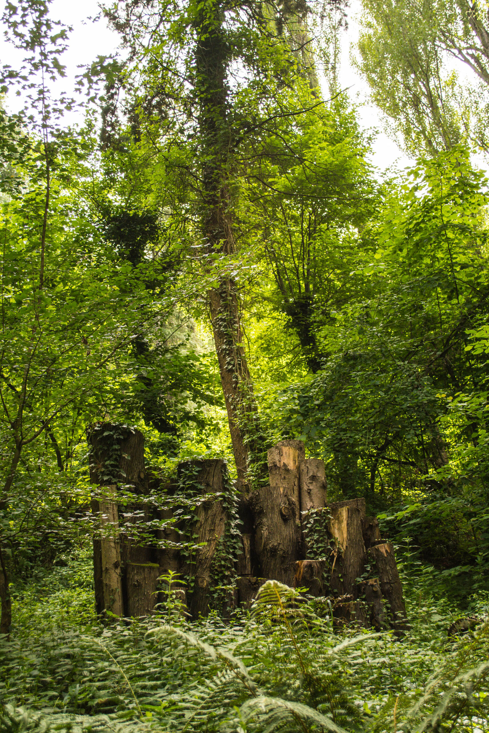 LOG PYRAMID - Nova arbora